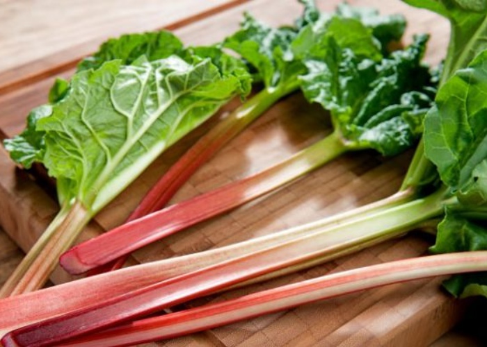 7 razones saludables para ingerir ruibarbo